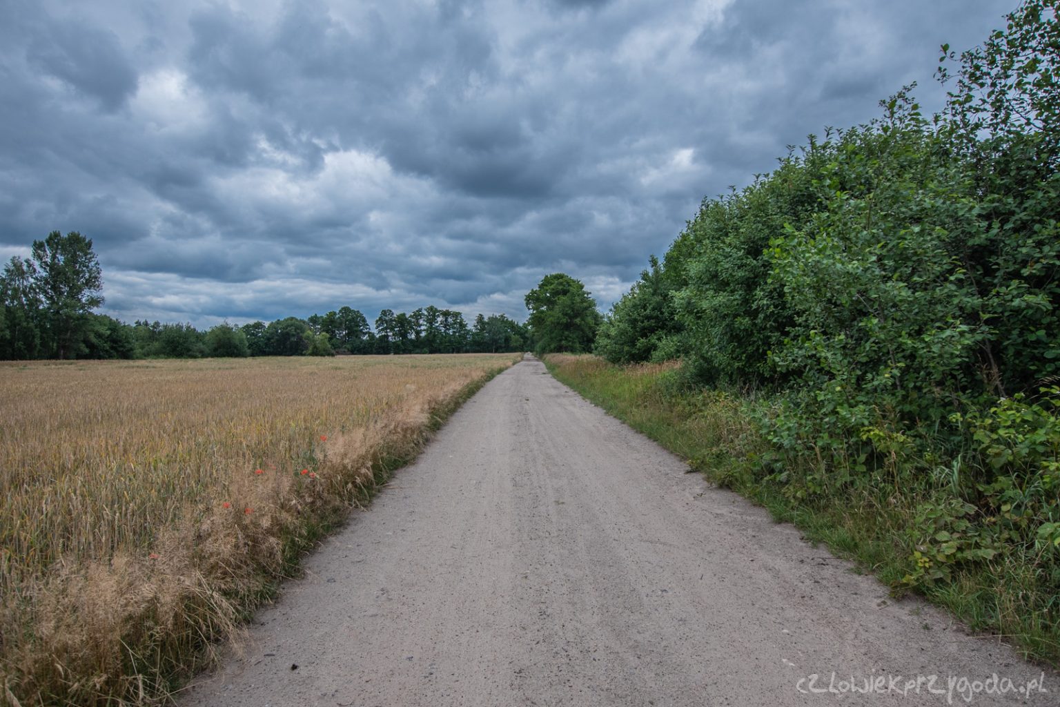 Jeziora Turawskie - atrakcje, noclegi, żaglówki lub dookoła rowerem